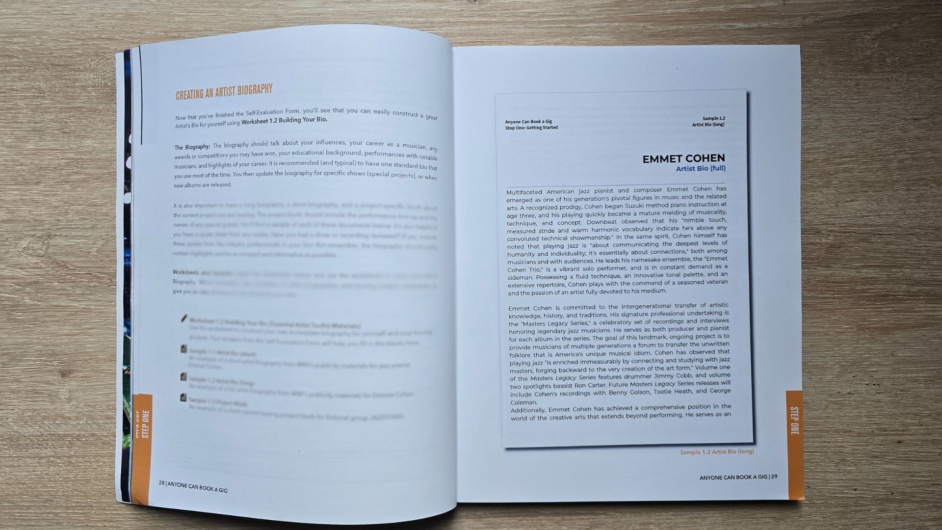 How to Write a Professional Musician Bio: A Step-by-Step Guide to ...